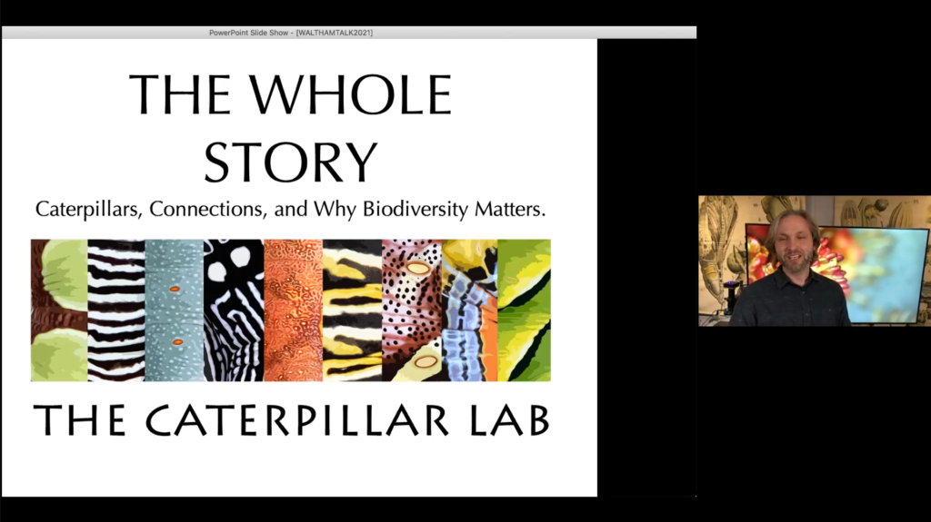 The Caterpillar Lab - The Whole Story - Waltham Land Trust