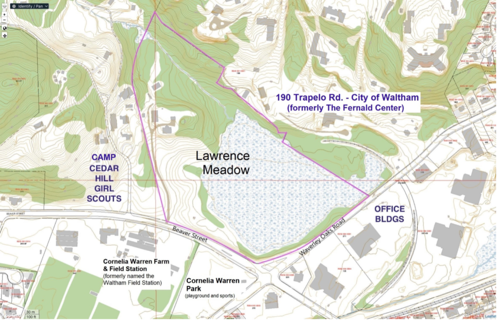 Lawrence Meadow - About - Waltham Land Trust
