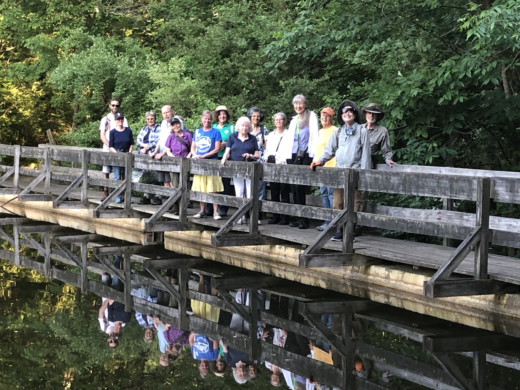 Wildflower & Native Plant Walk - Waltham Land Trust
